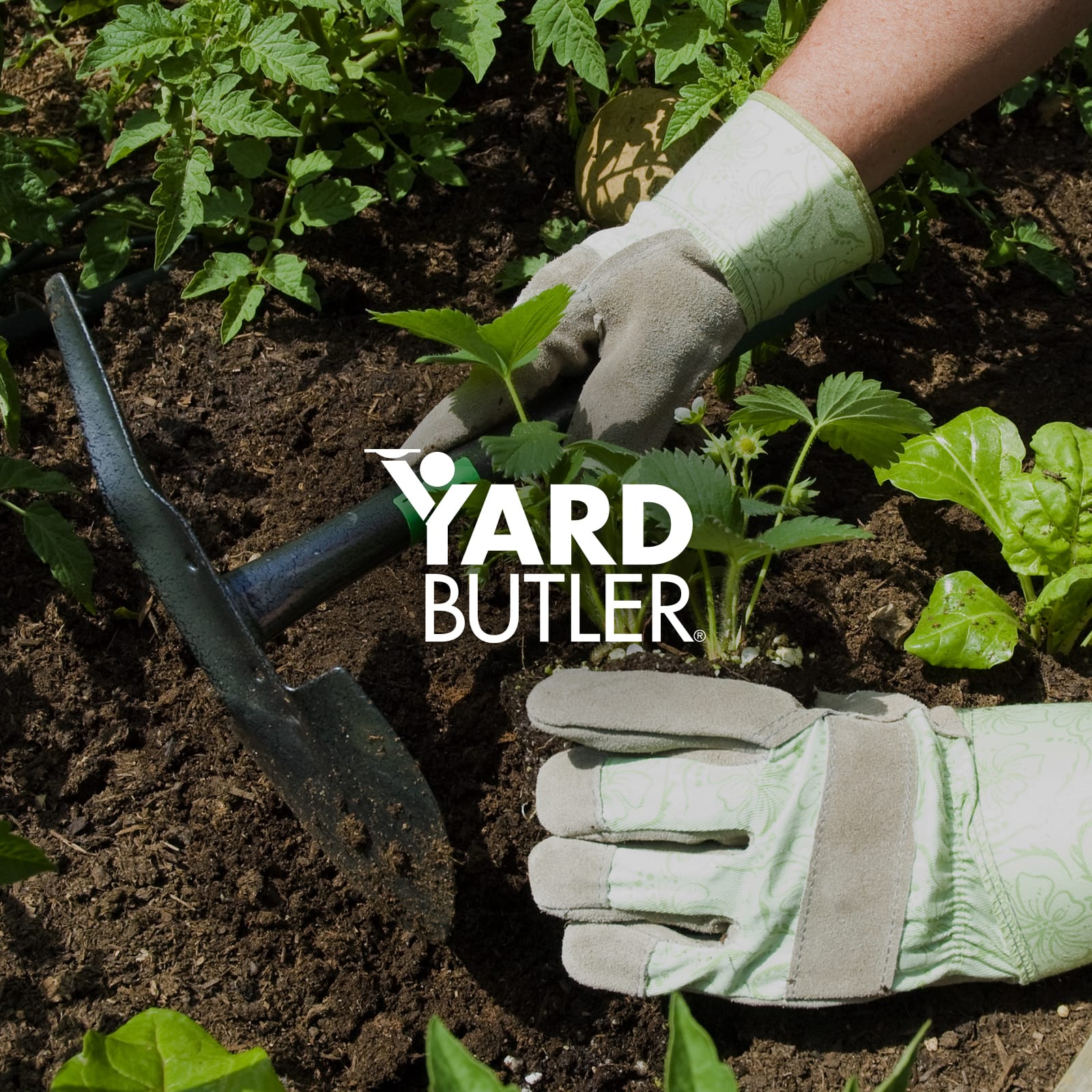 Yard Butler | Shopify Design & Development | ROXO